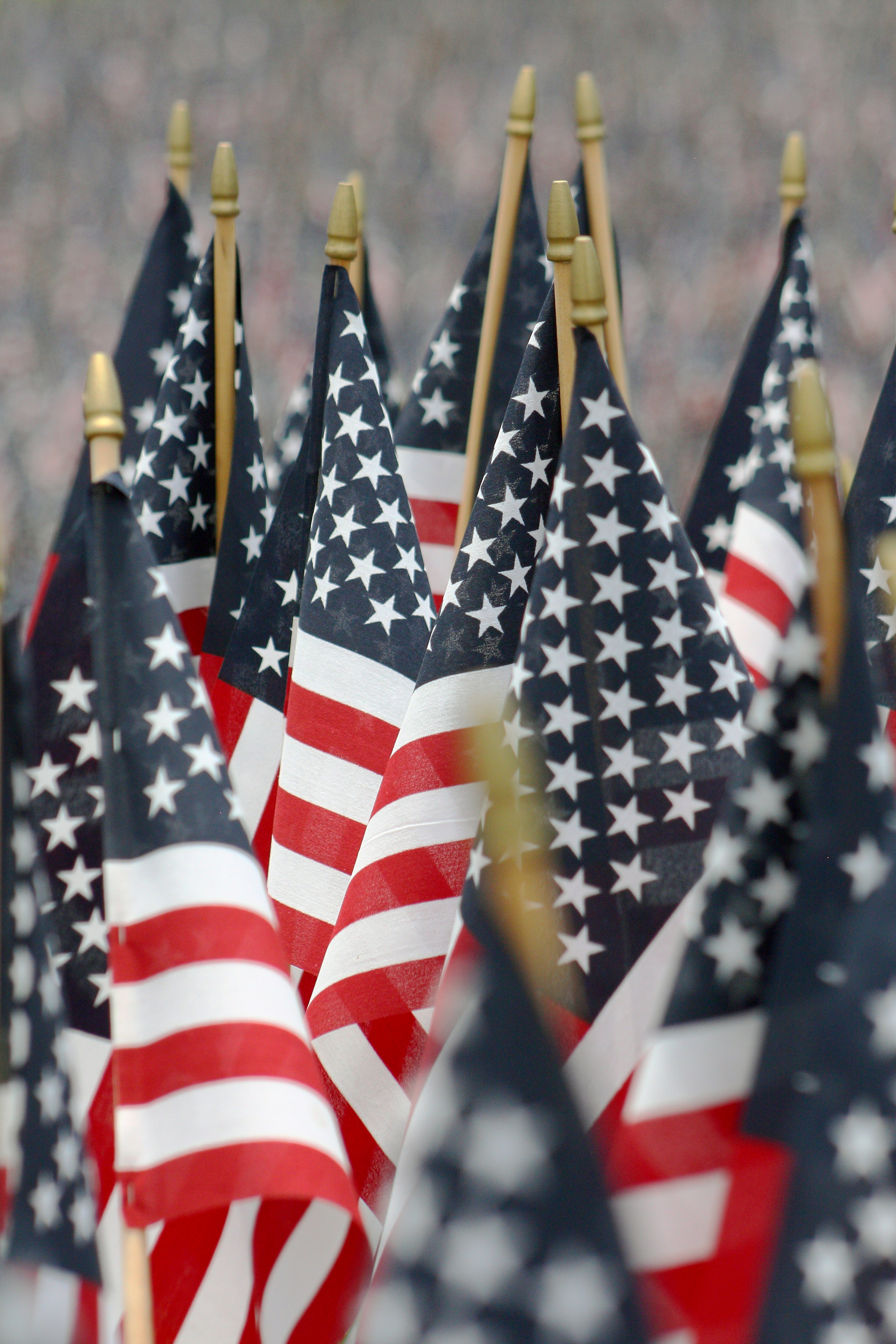 Flags on Memorial Day | Shutterbug